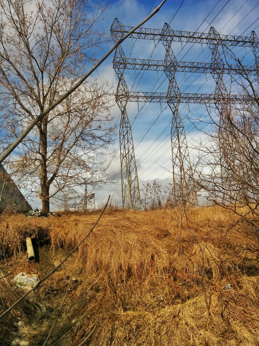 Toronto Hydro Corridors – Metroscapes